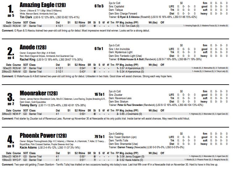 pdf example with sky racing world logo