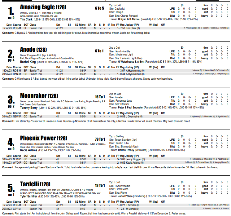 pdf example with sky racing world logo